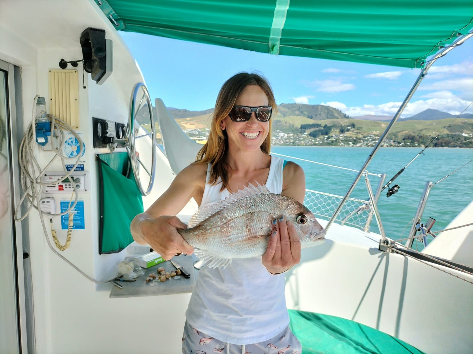 Nelson Yacht Charters